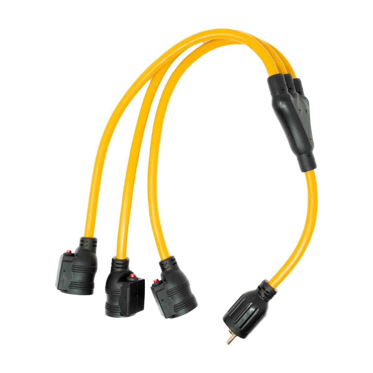 Firman 3' Heavy Duty TT-30P to (3) 5-20R Short Power Cord | Outbound Power